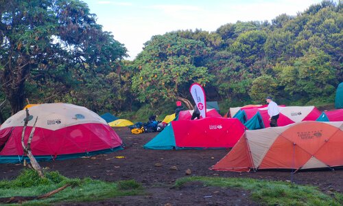 Machame Camp on Kilimanjaro